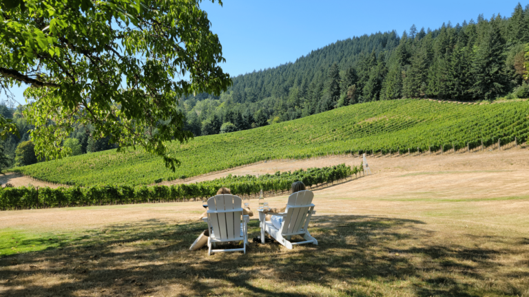 Sommly Announces Partnership With One Tree Planted » Sommly