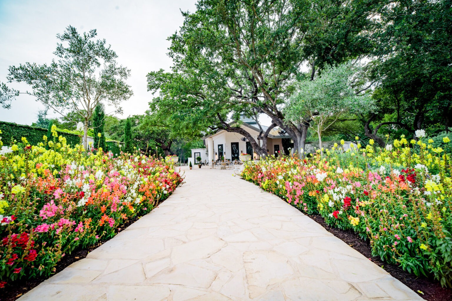 Signor Vineyards: Where Soul Meets Soil » Sommly